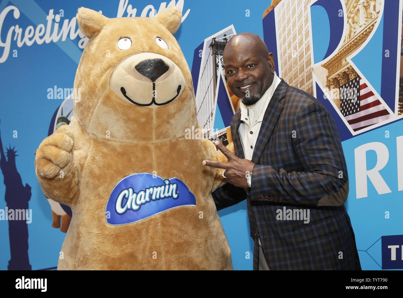 Charmin bear hi-res stock photography and images - Alamy