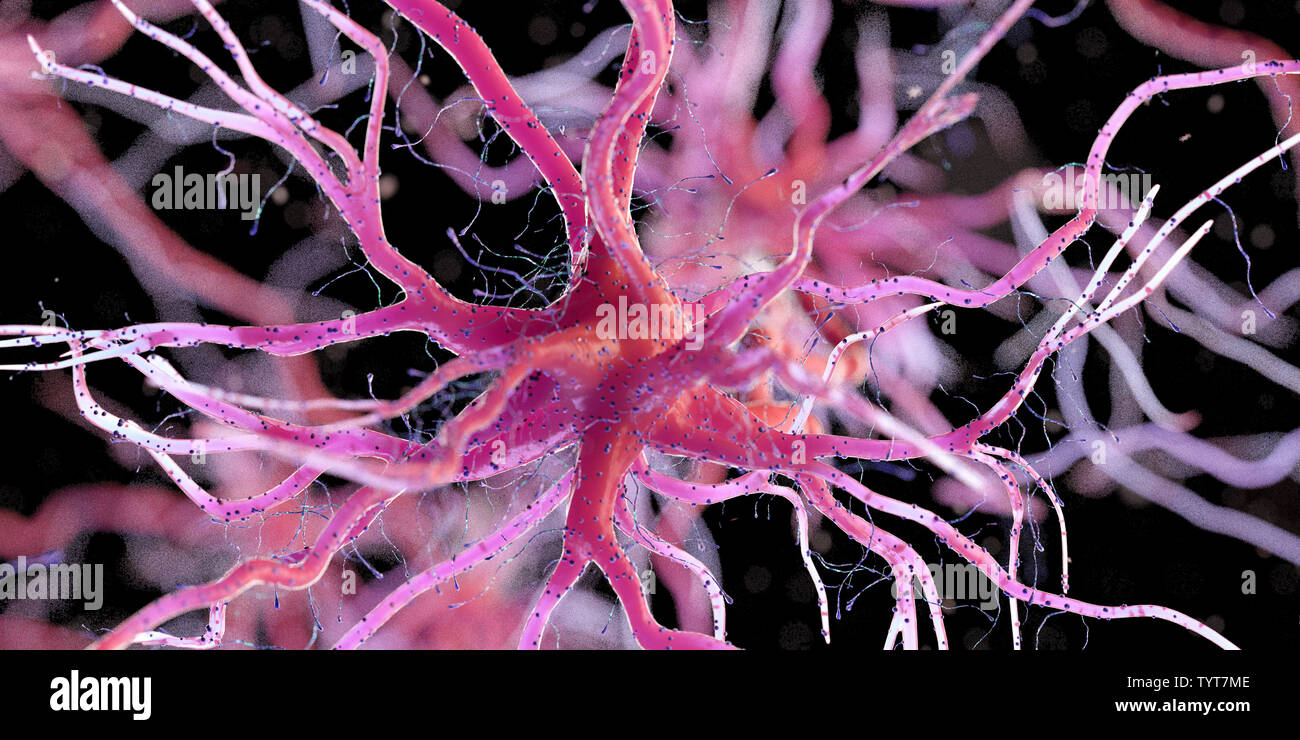 3d rendered illustration of a human nerve cell Stock Photo - Alamy