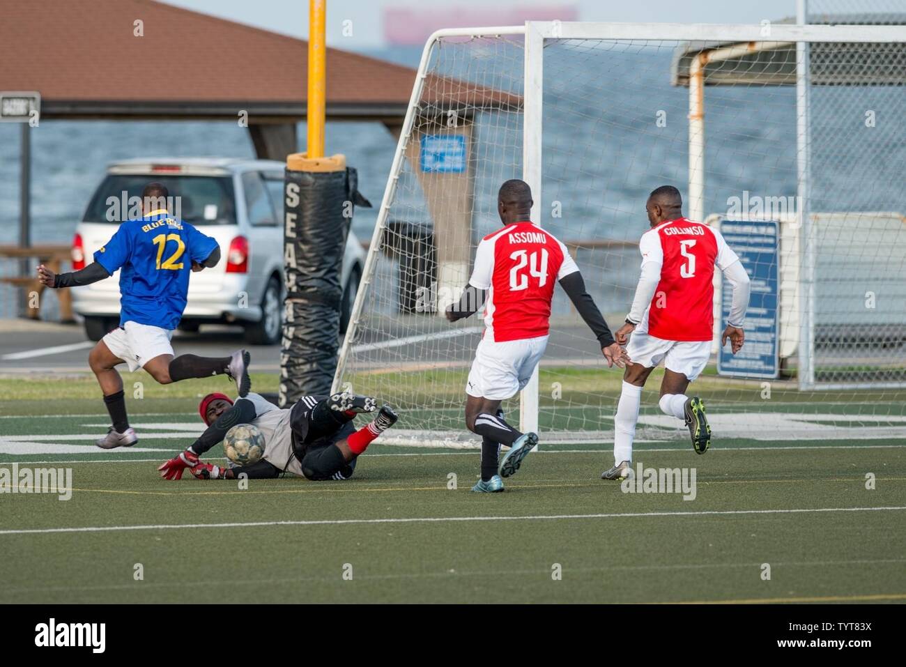 Indian ridge stallion hi-res stock photography and images - Alamy