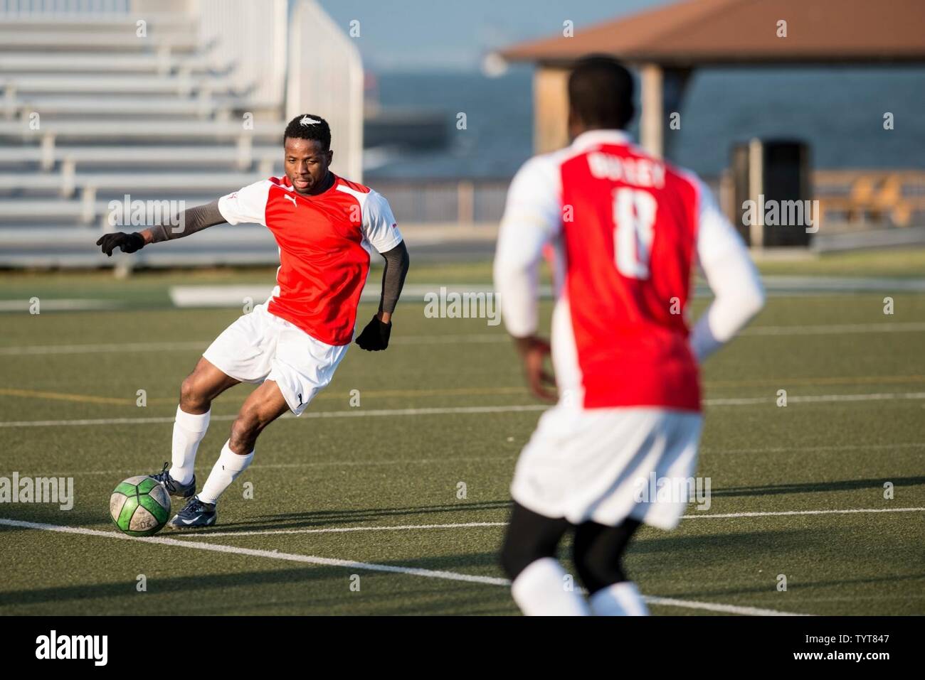 Indian ridge stallion hi-res stock photography and images - Alamy