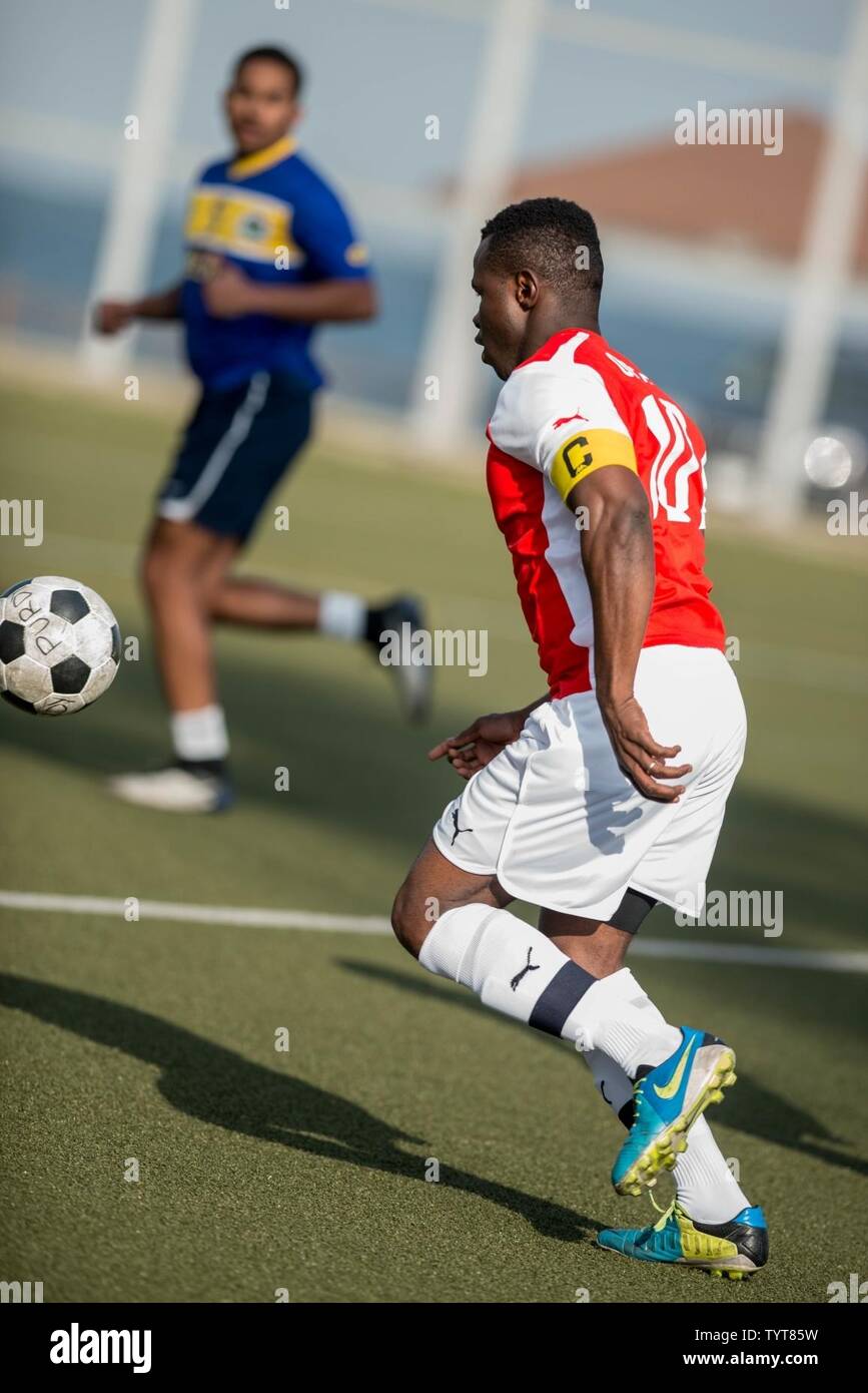 Indian ridge stallion hi-res stock photography and images - Alamy
