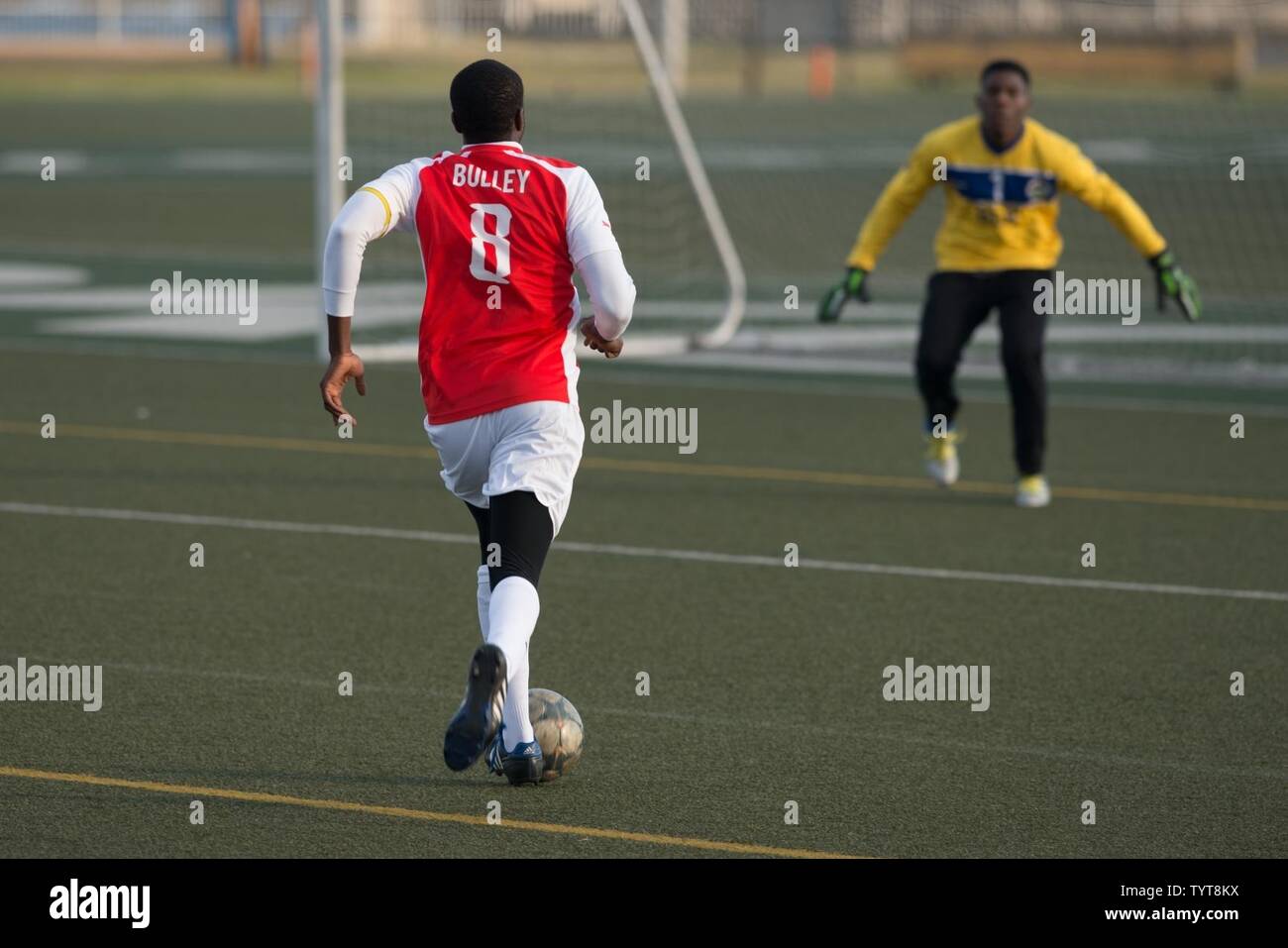 Indian ridge stallion hi-res stock photography and images - Alamy