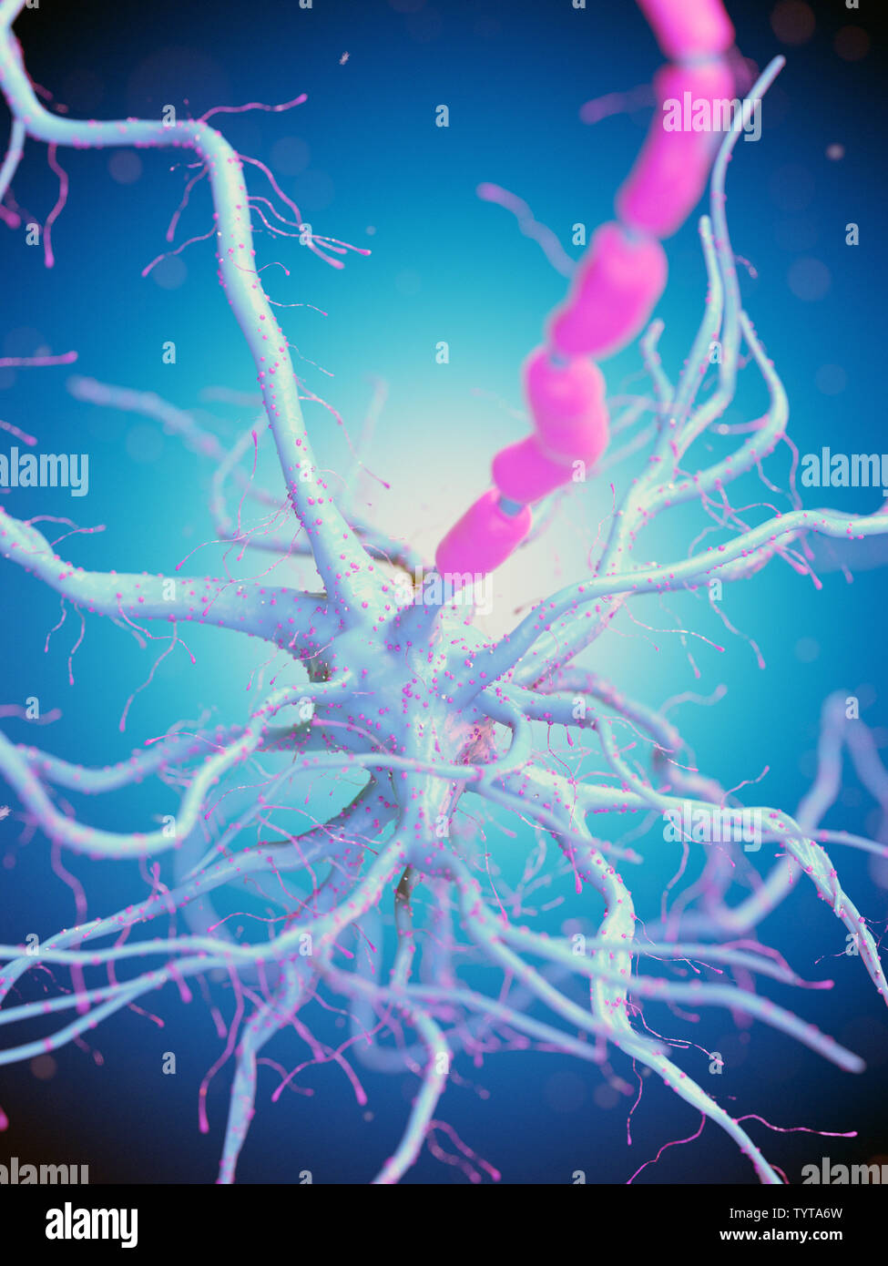 3d rendered illustration of a human nerve cell Stock Photo - Alamy