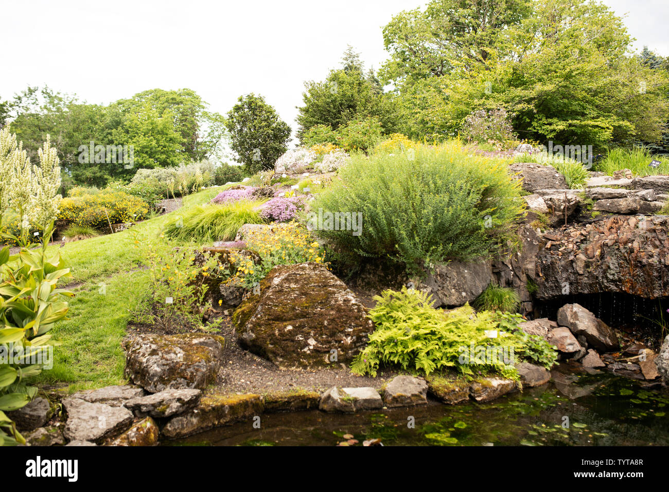 The rock garden in botanical garden hi-res stock photography and images ...