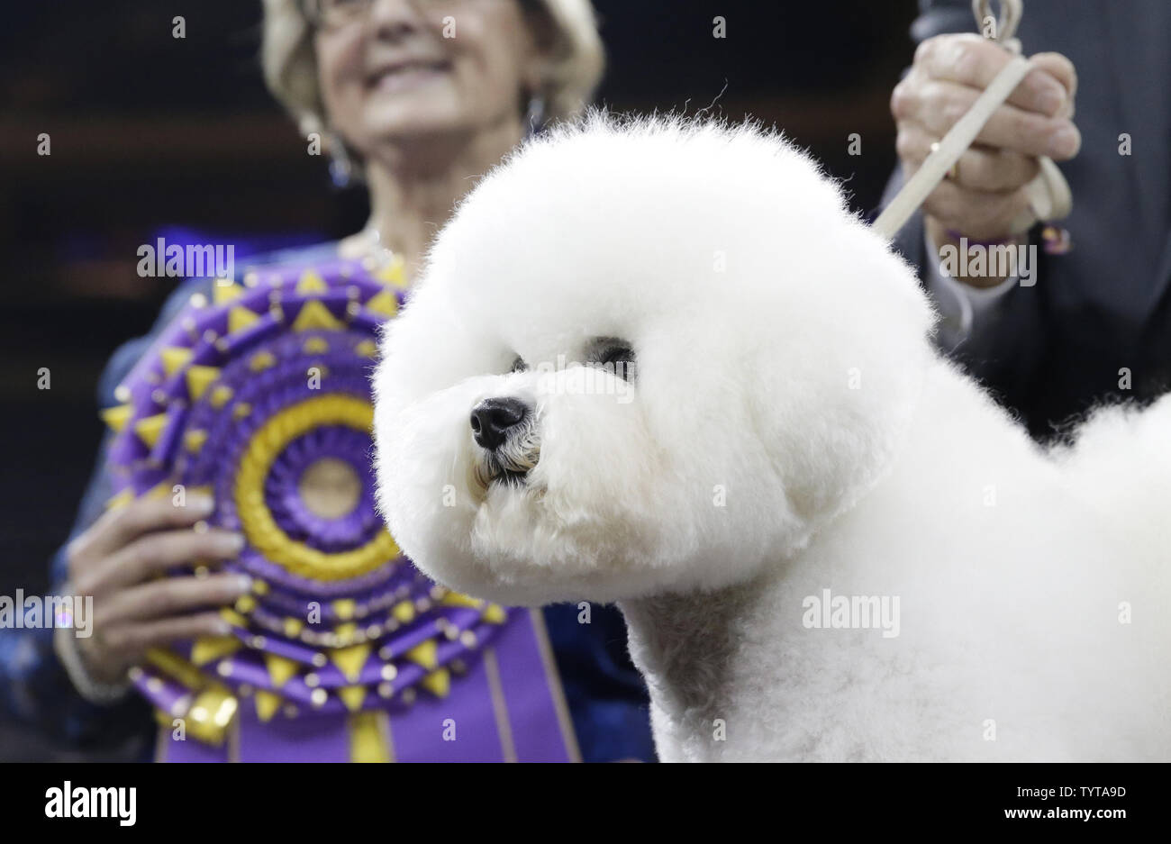 Handler Bill McFadden and Best in Show Judge Betty Anne Stenmark stand ...