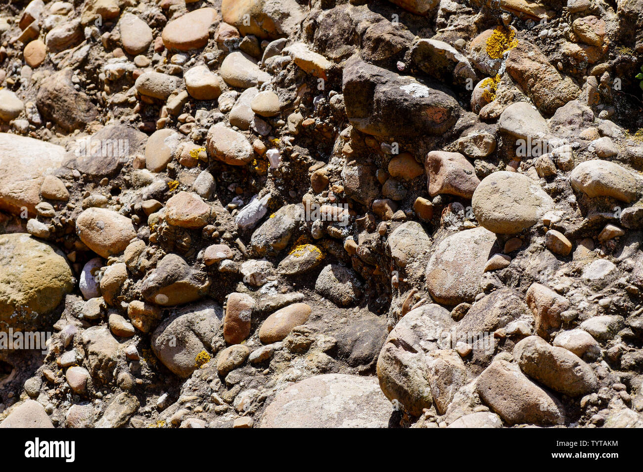 Puddingstone pudding hi-res stock photography and images - Alamy