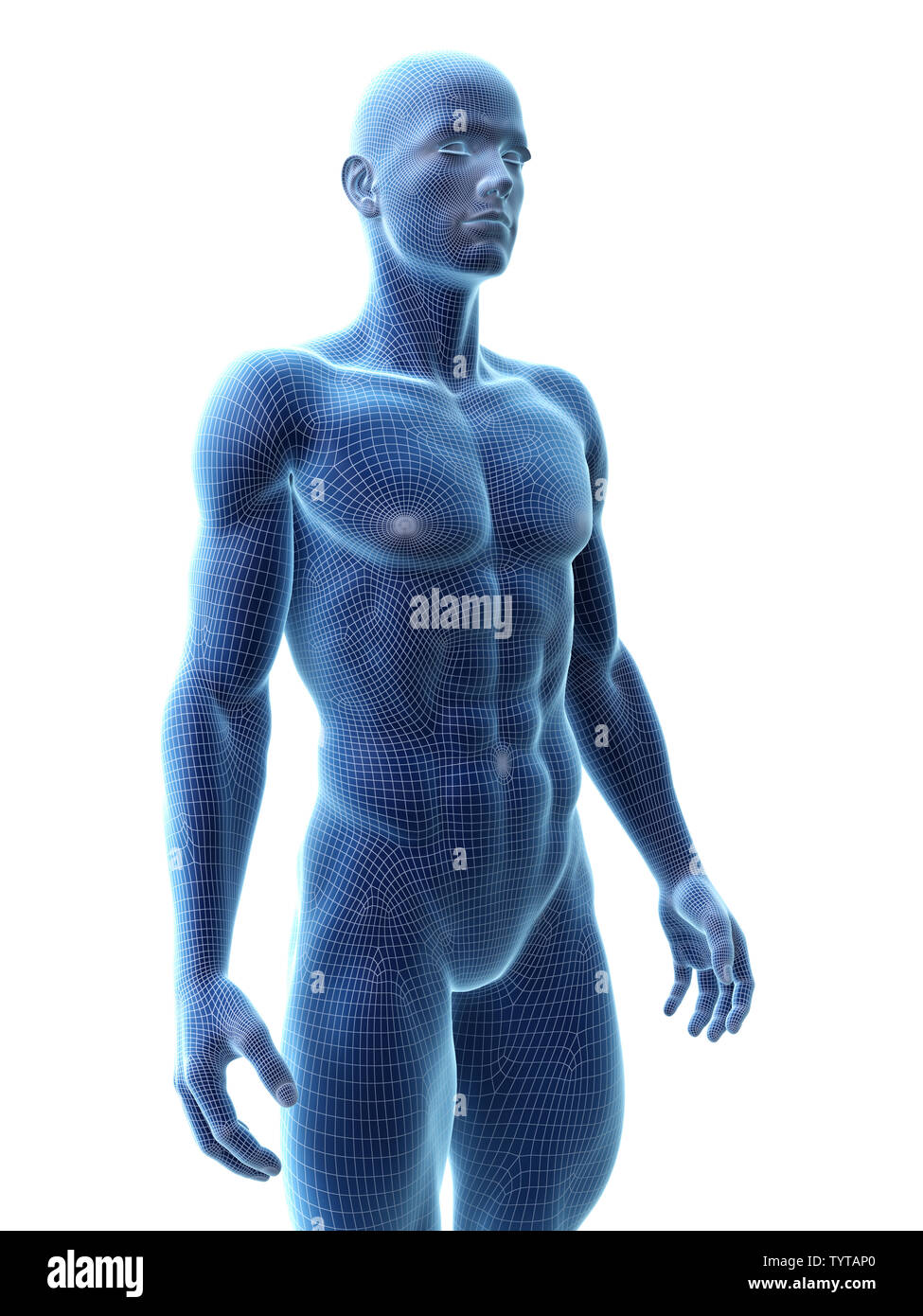 Sixpack male model hi-res stock photography and images - Alamy