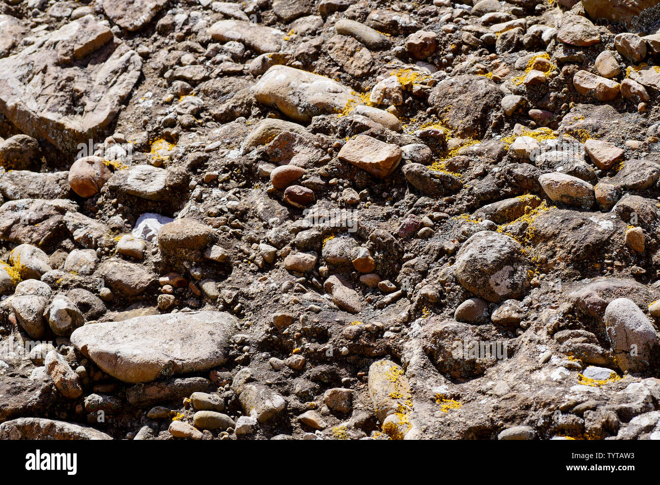Puddingstone pudding hi-res stock photography and images - Alamy
