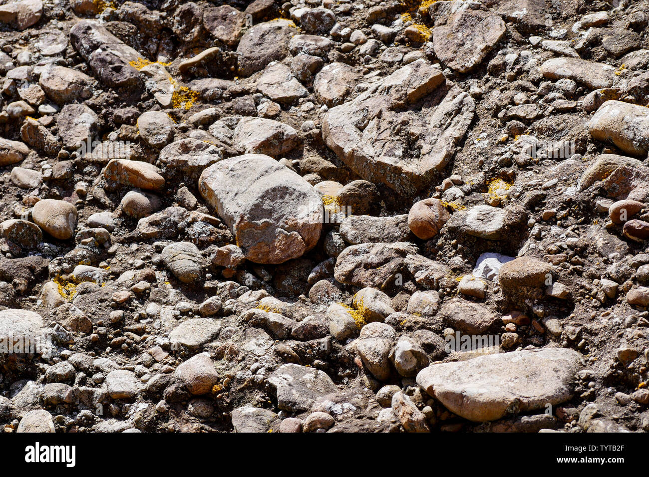 Puddingstone pudding hi-res stock photography and images - Alamy
