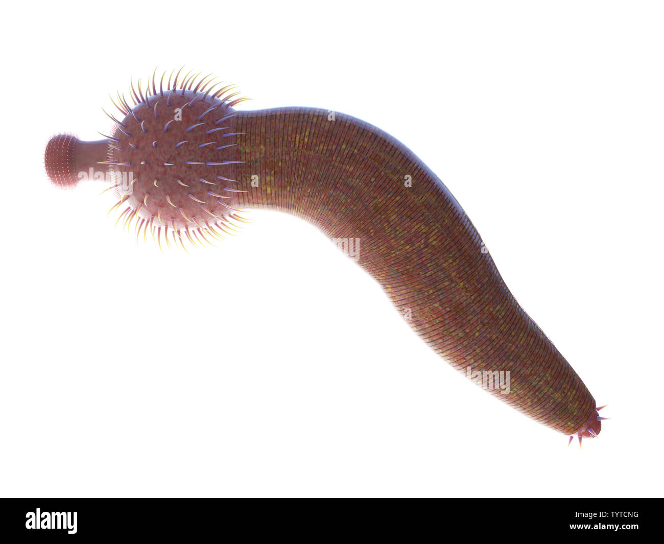 Prehistoric ocean illustration Cut Out Stock Images & Pictures - Alamy