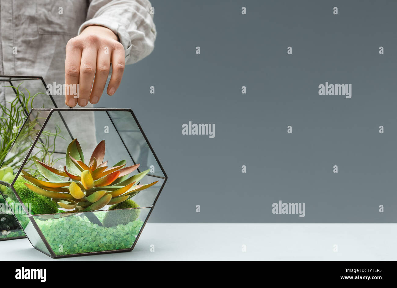 Free space design hi-res stock photography and images - Alamy