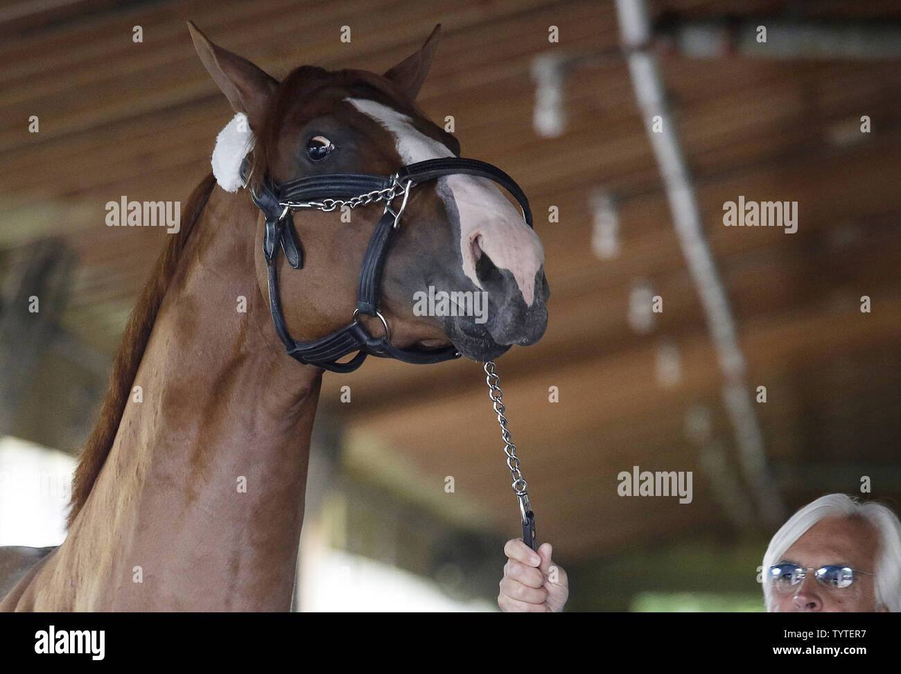 Justify race horse hi-res stock photography and images - Alamy