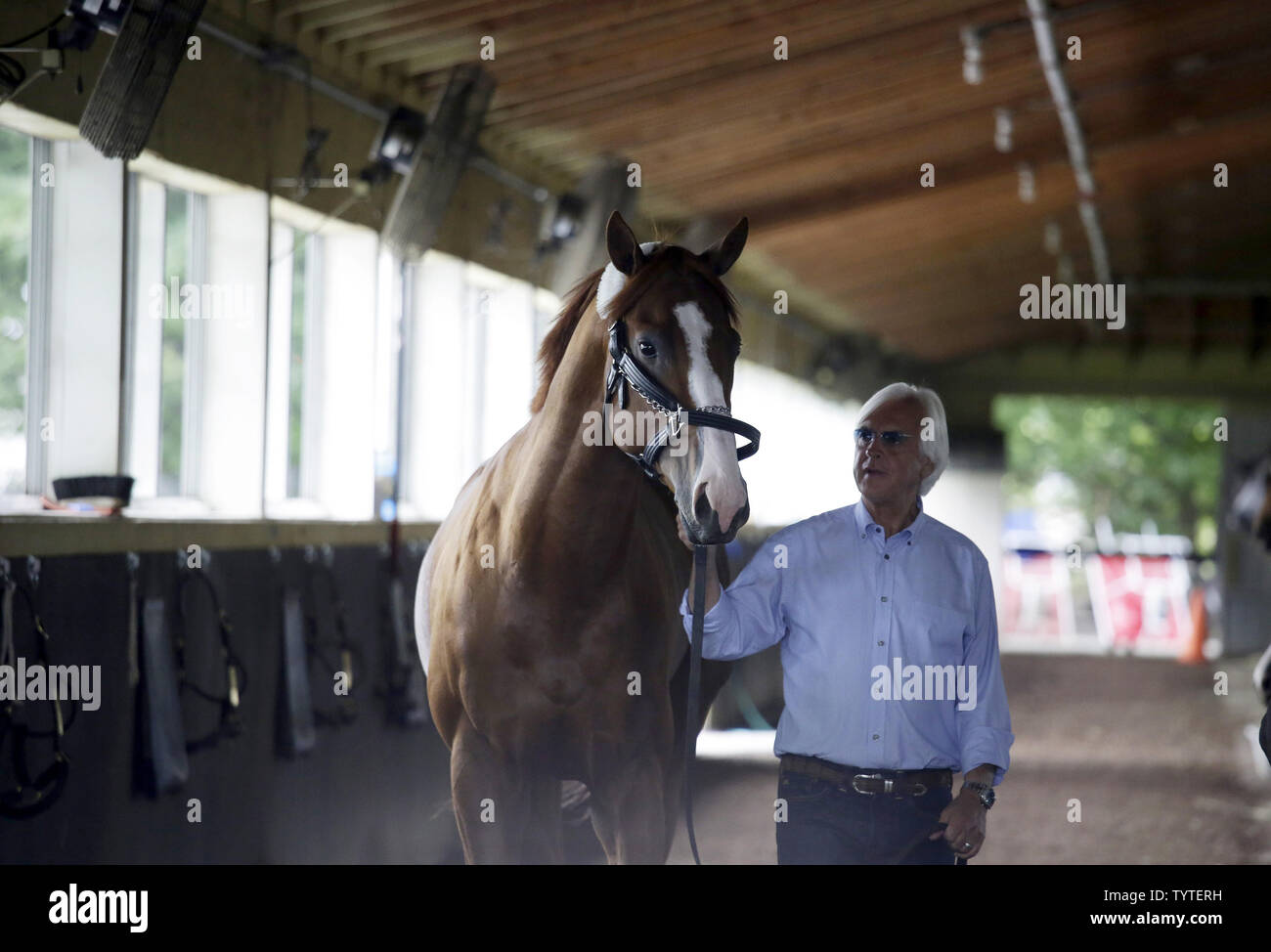 Justify race horse hi-res stock photography and images - Alamy