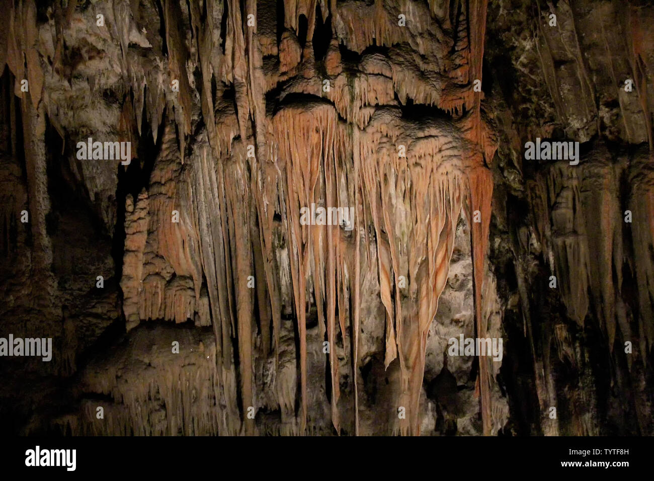 The stone formation in Postojna Caves, Slovenian- Postojnska jama is a ...