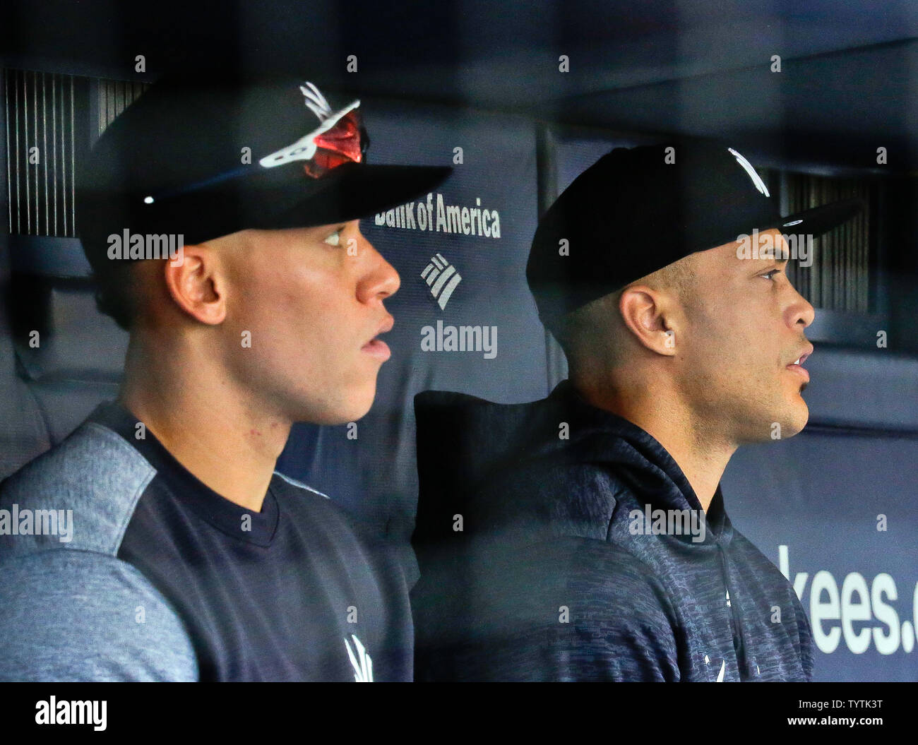 New York Yankees players David Judge, left, who is injured, and ...