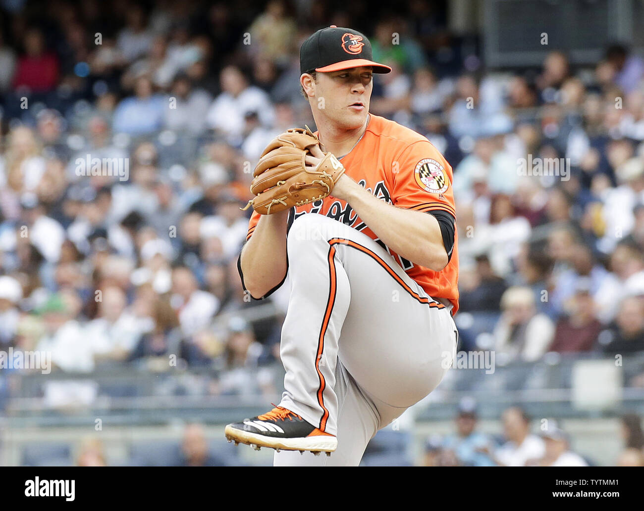 David hess hi-res stock photography and images - Alamy