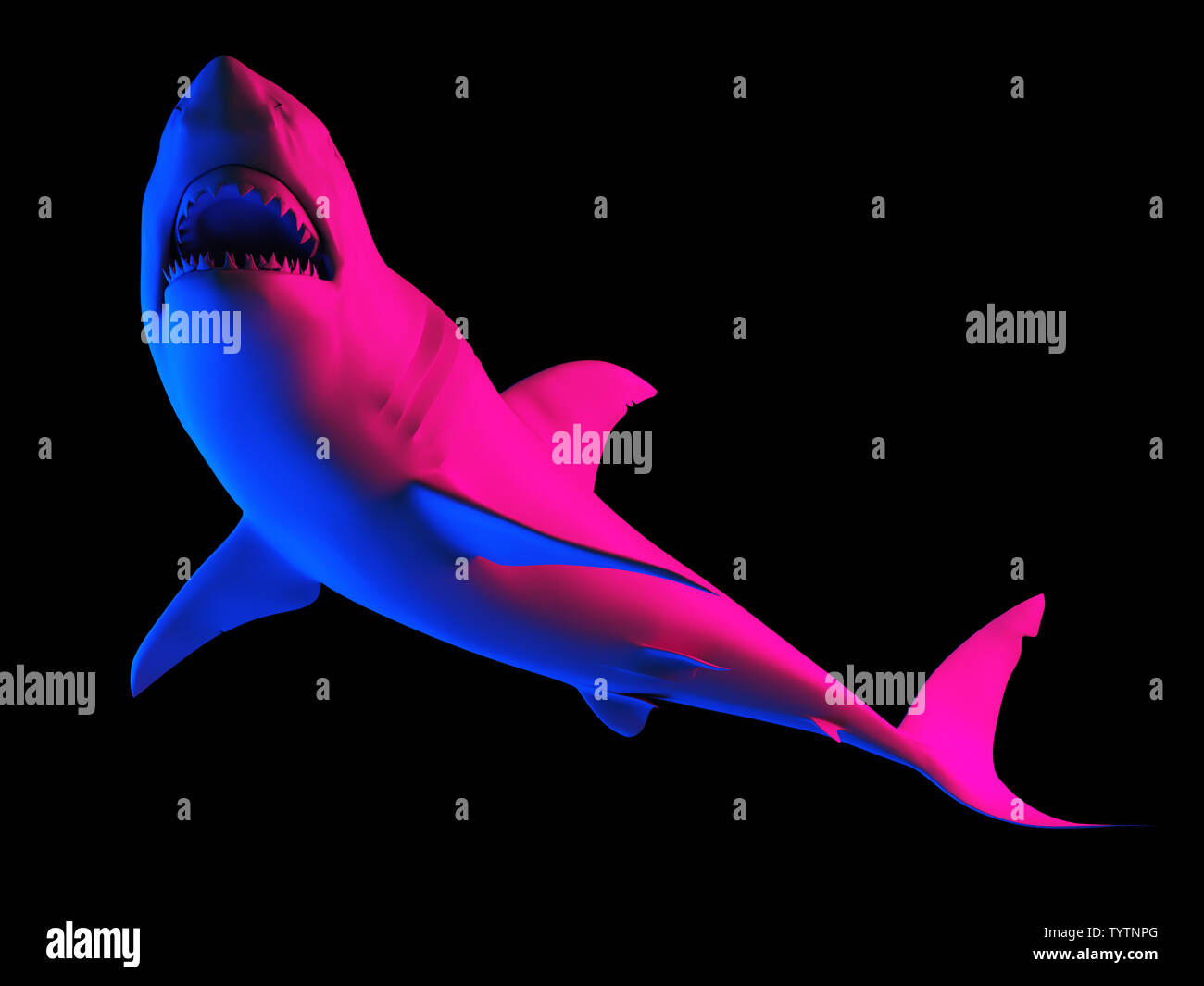 Great white shark side view hi-res stock photography and images - Alamy