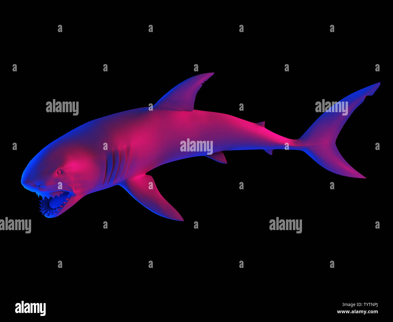 Shark side view big fin hi-res stock photography and images - Alamy