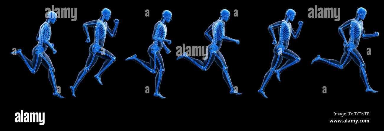 Running skeleton artwork hi-res stock photography and images - Alamy