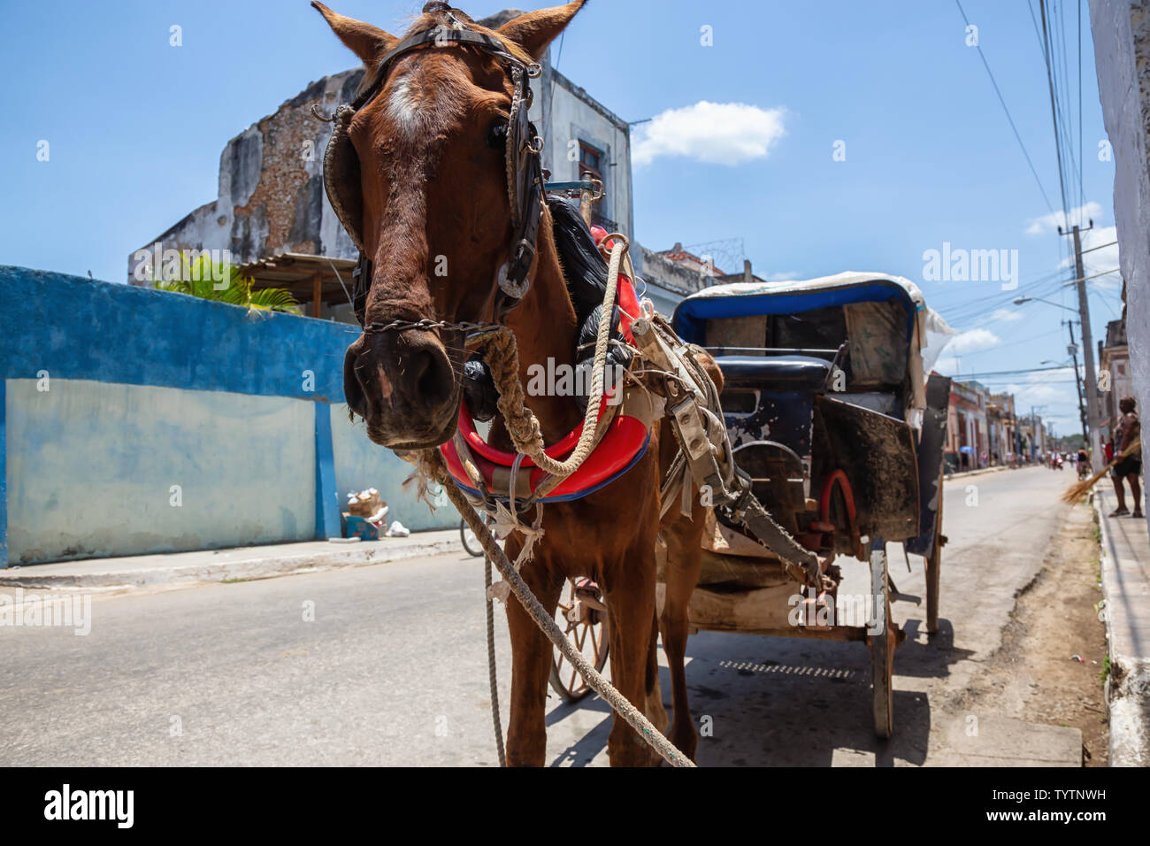Cardenas, Cuba - May 11, 2018: Horse Carriage riding in the streets of ...