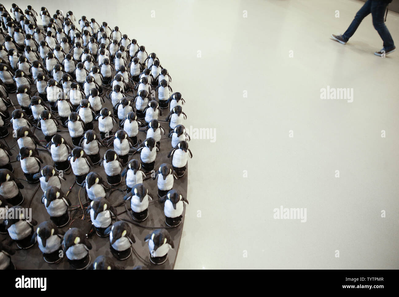 An art installation by Daniel Rozin titled Penguins Mirror, 2015 is on ...