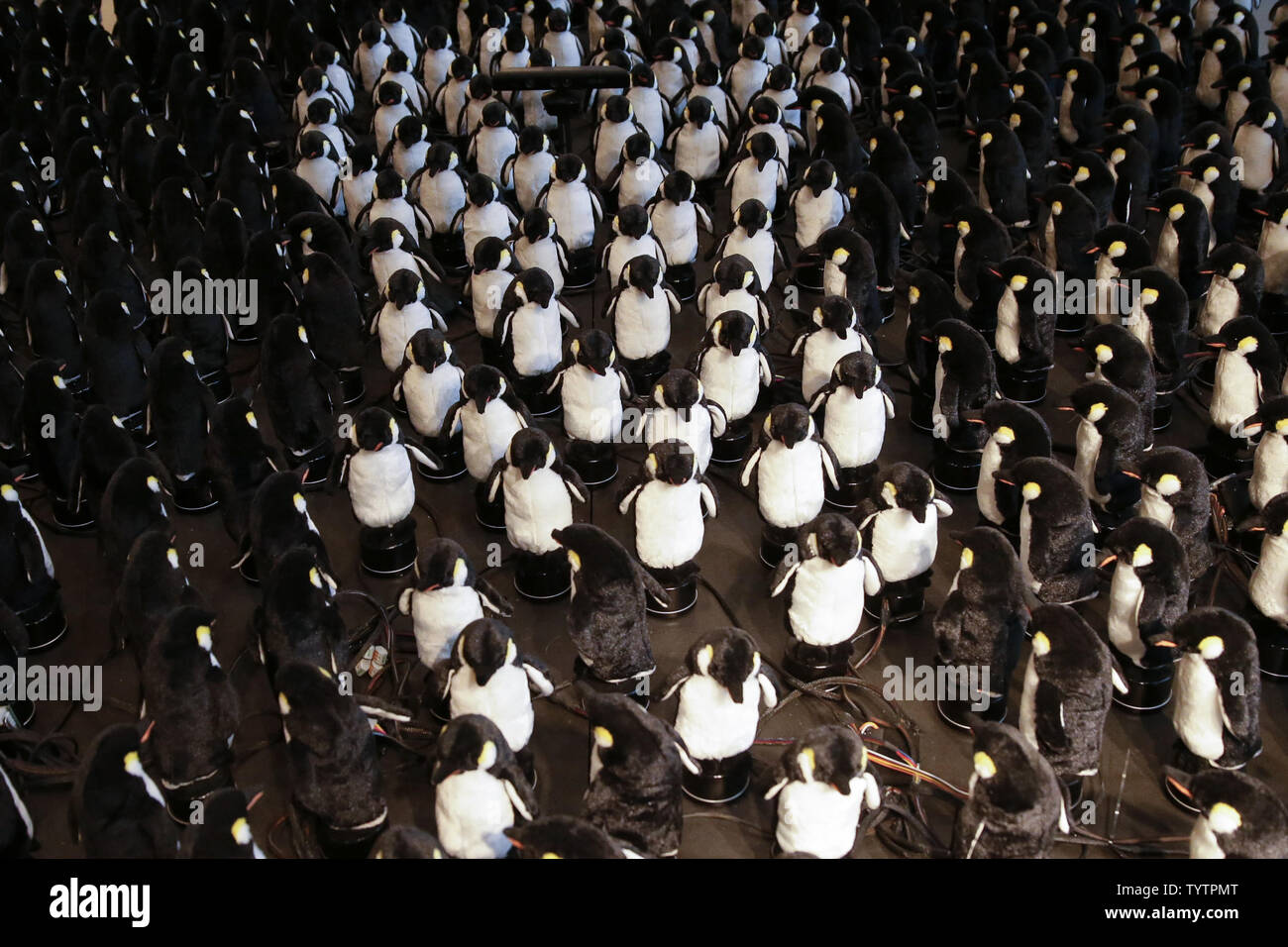 An art installation by Daniel Rozin titled Penguins Mirror, 2015 is on ...
