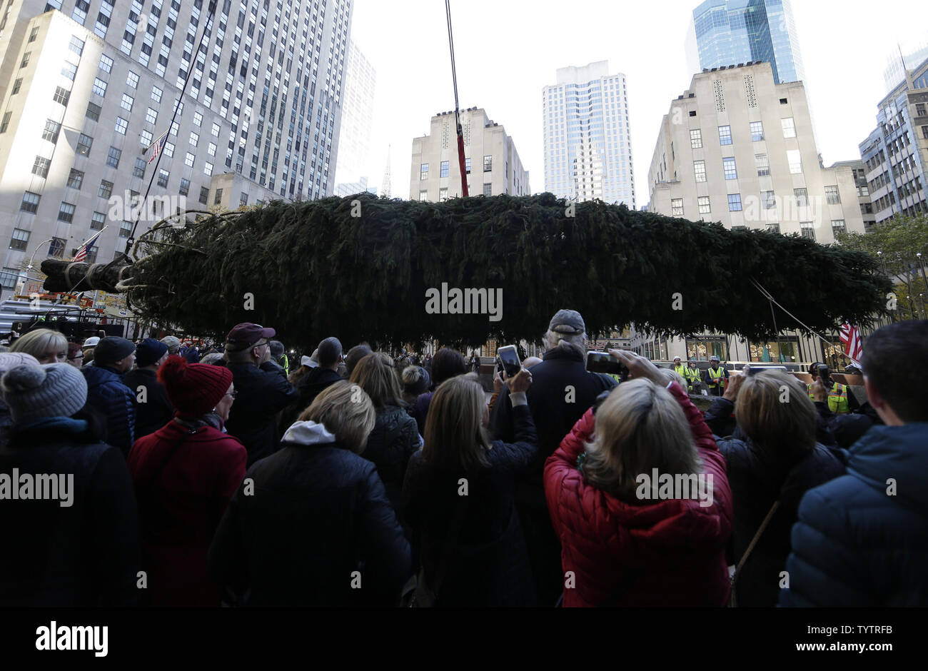 Revelers watch as the Rockefeller Center Christmas Tree is lifted by ...