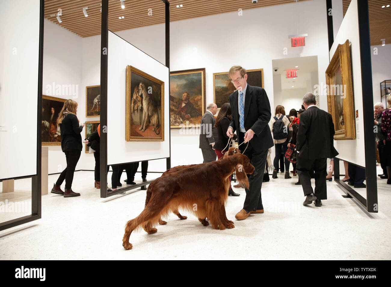 The AKC Museum of the Dog officially opens its doors to the public with ...
