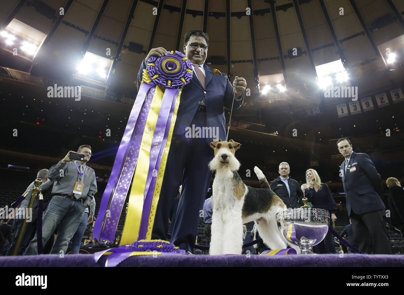 King the Wire Hair Fox Terrier stands with handler Gabriel Rangel after ...