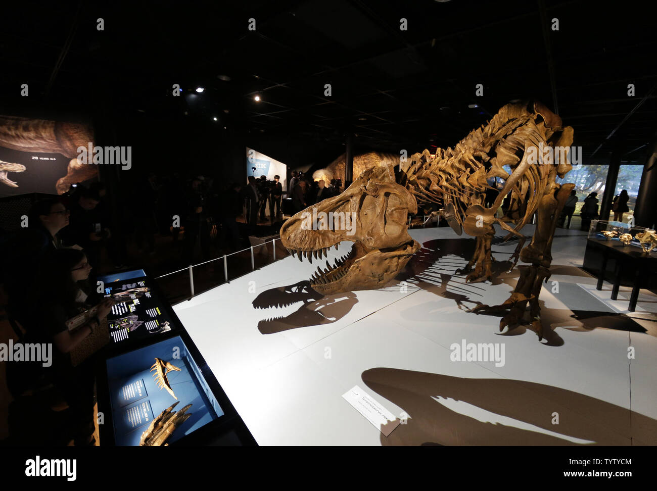 Members and press attend the AMNH media preview for T. Rex: The ...