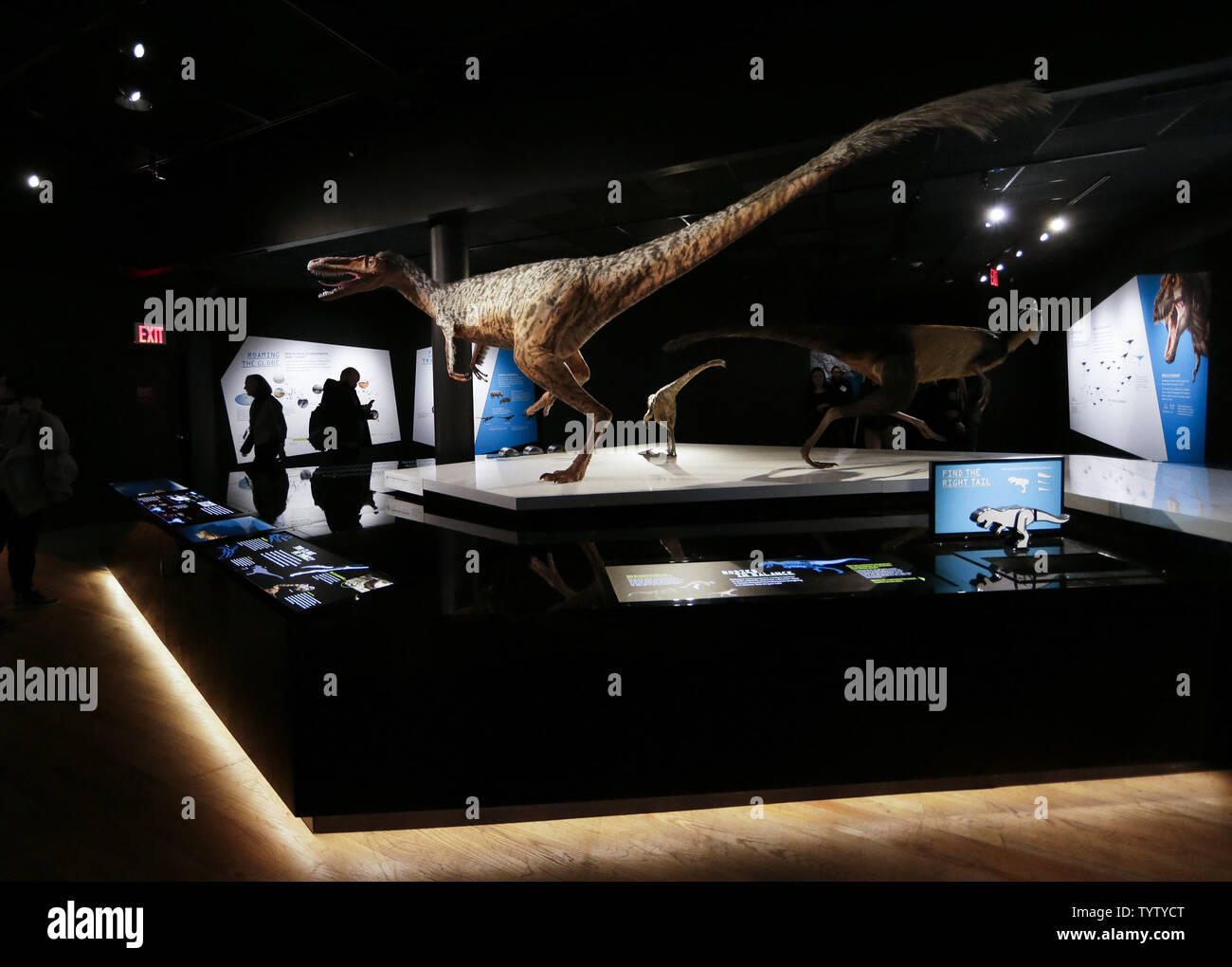 Members and press attend the AMNH media preview for T. Rex: The ...