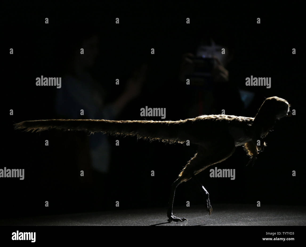 Members and press attend the AMNH media preview for T. Rex: The ...