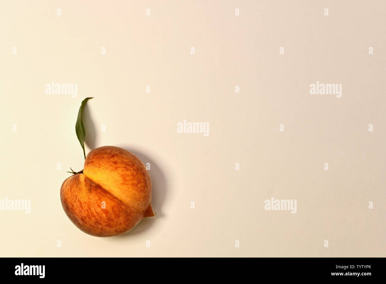 Longitudinal division hi-res stock photography and images - Alamy