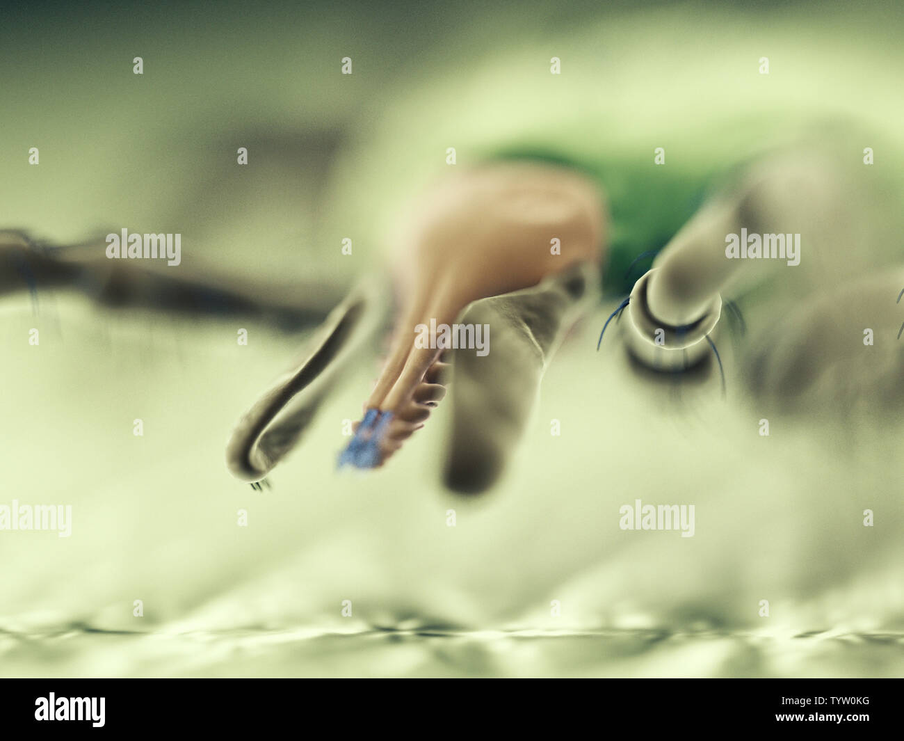 3d rendered medically accurate illustration of a tick - sem style Stock ...