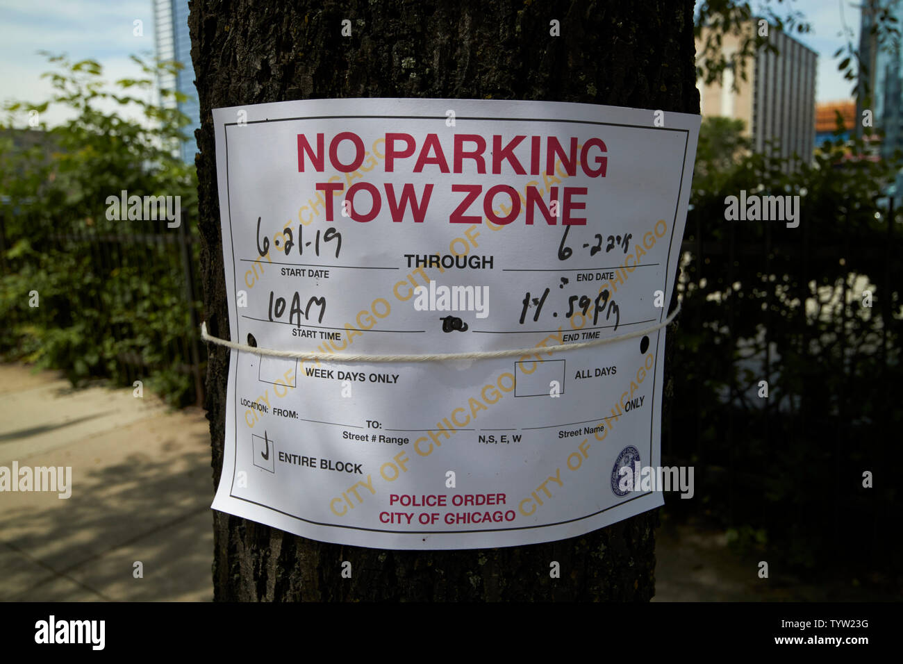 No parking sign on tree hi-res stock photography and images - Alamy