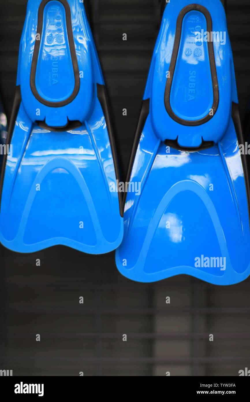 Stylish flippers for diving hi-res stock photography and images - Alamy