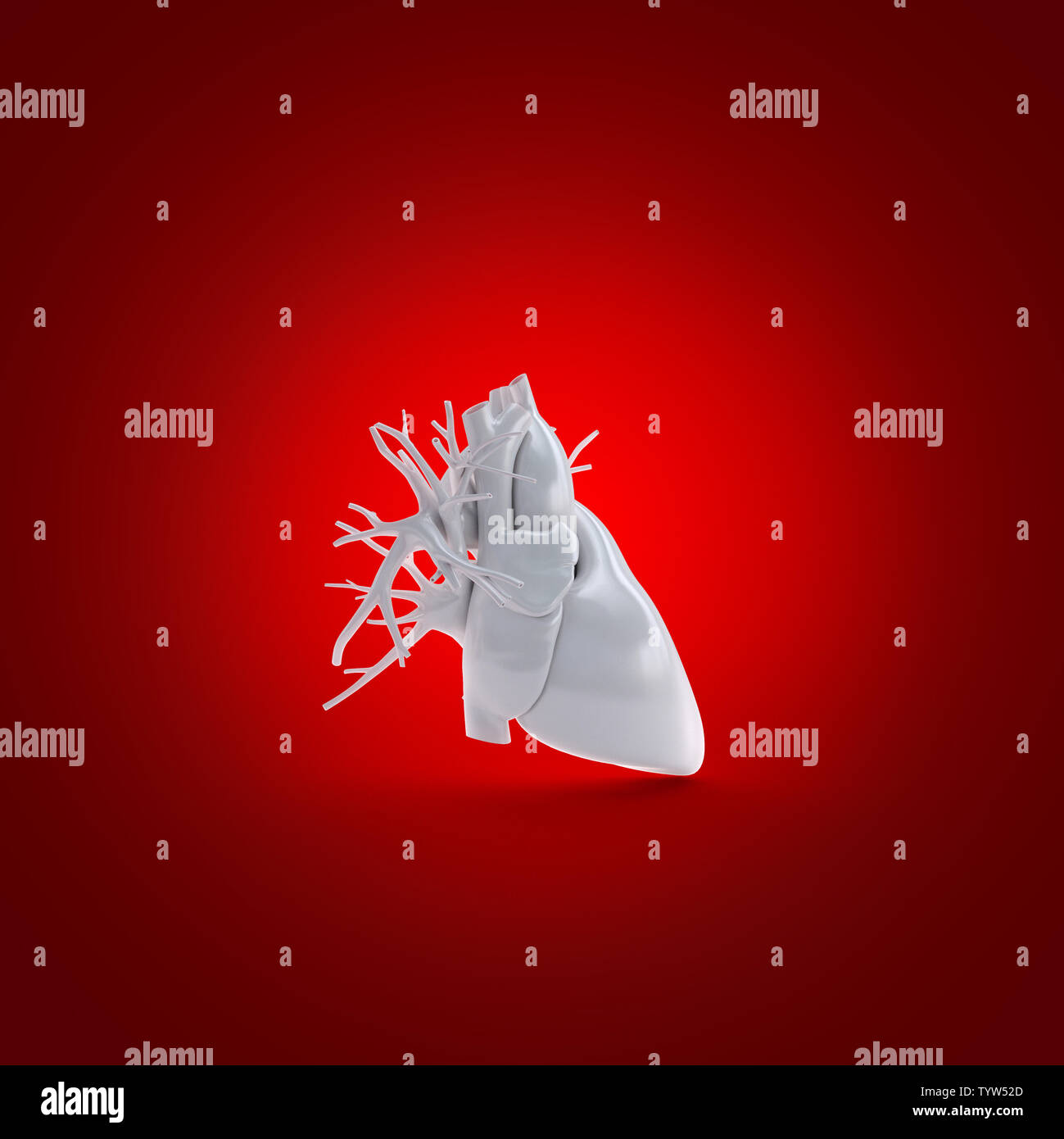 3d rendered medically accurate illustration of a human heart Stock ...