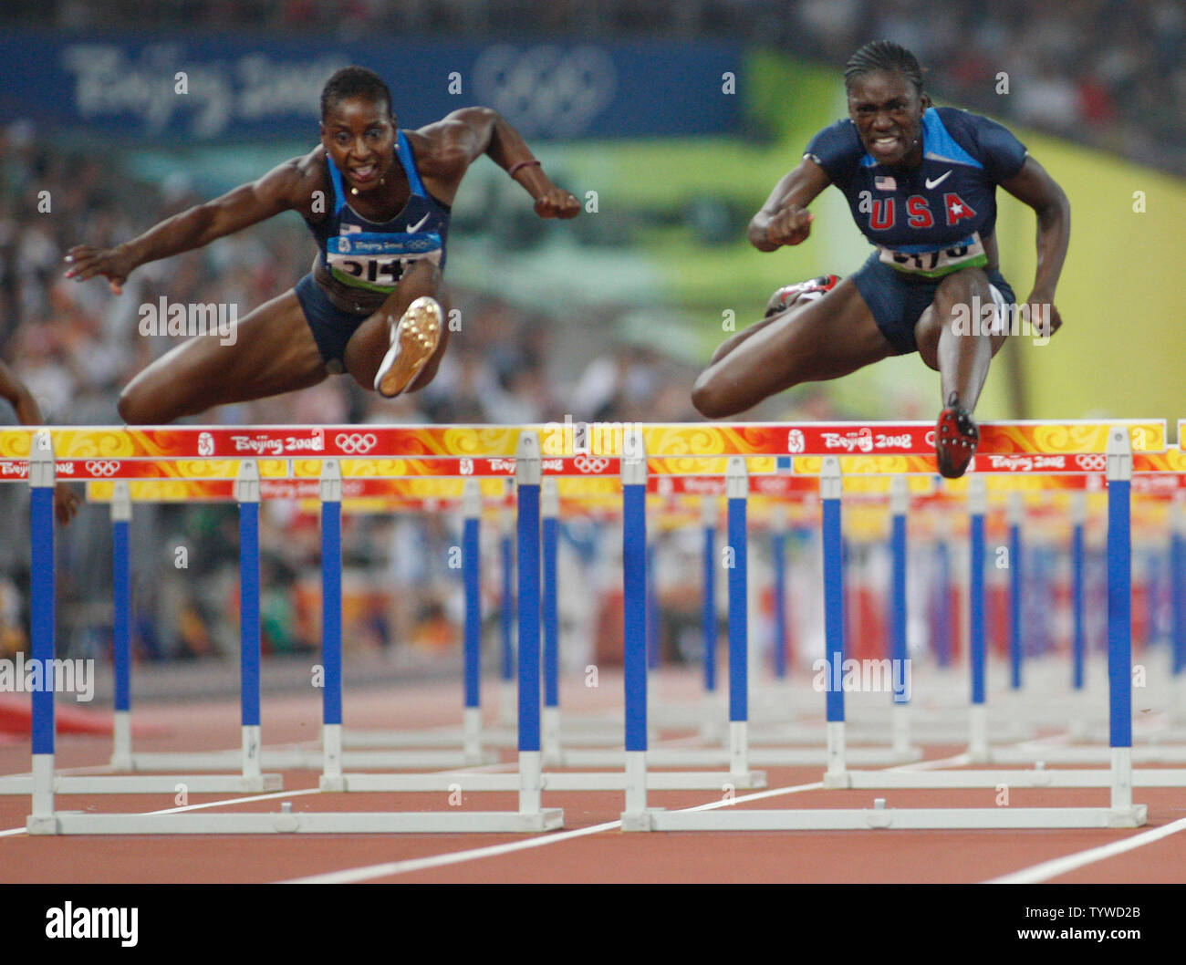 Damu cherry hi-res stock photography and images - Alamy