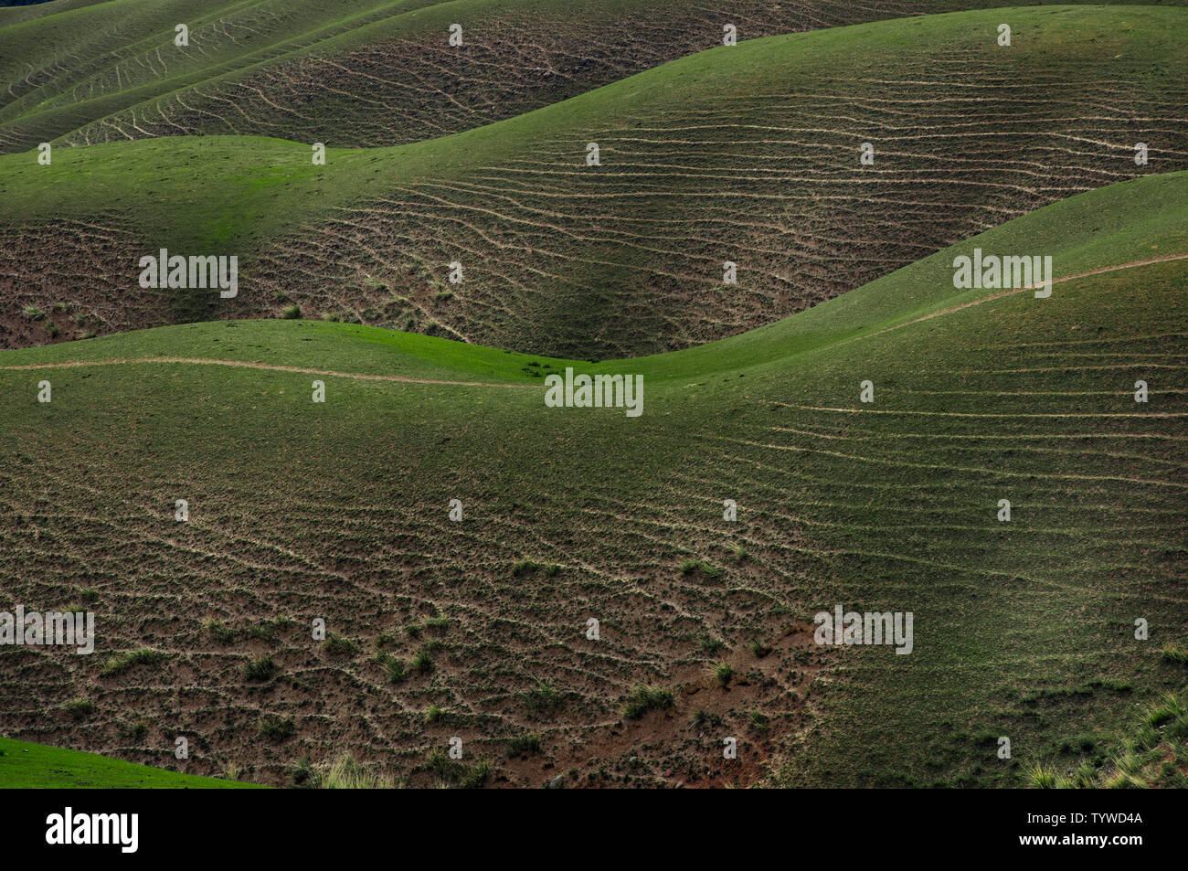 Hills and ravines and meadows hi-res stock photography and images - Alamy