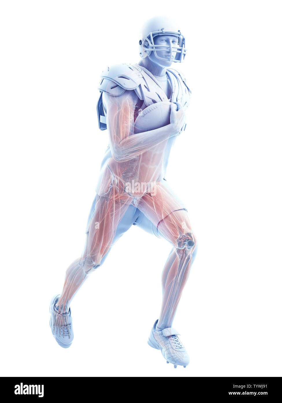 Sports helmet anatomy hi-res stock photography and images - Alamy