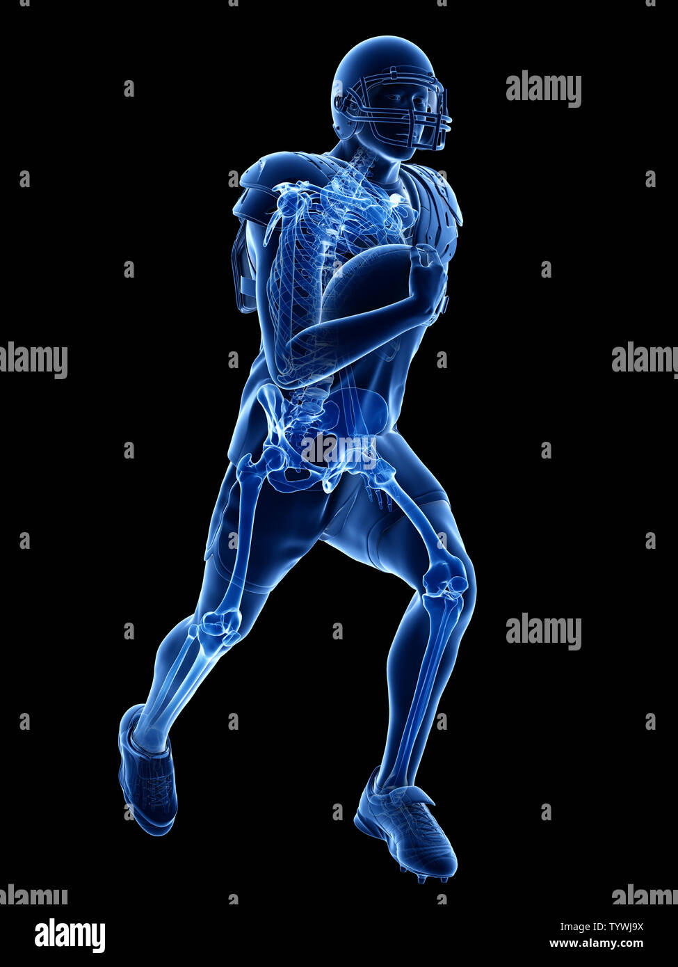 3d rendered medically accurate illustration of the skeleton of an ...