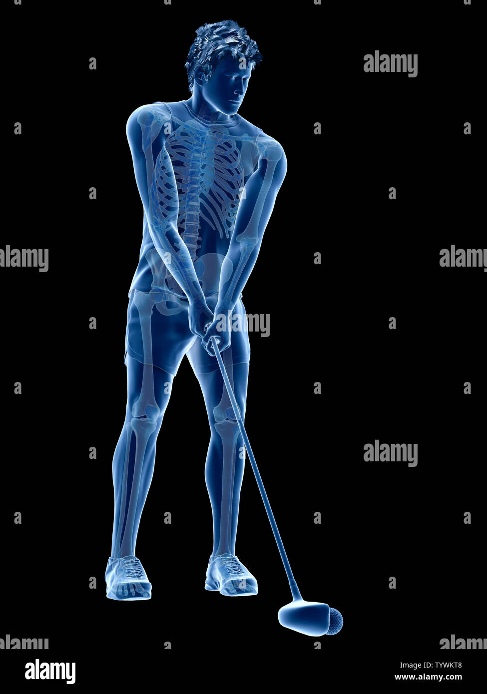 3d rendered medically accurate illustration of the skeleton of a golf ...