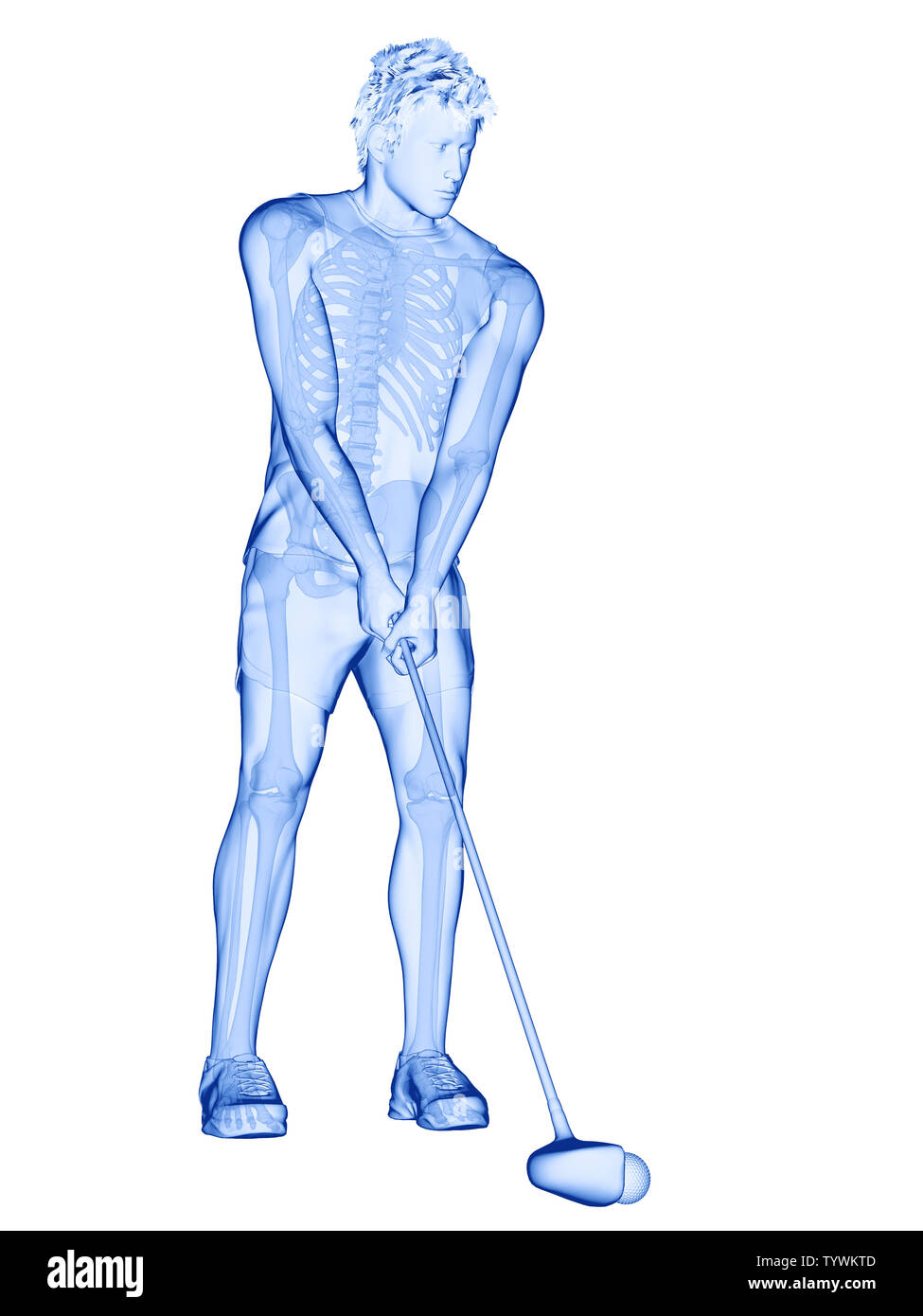 3d rendered medically accurate illustration of the skeleton of a golf ...