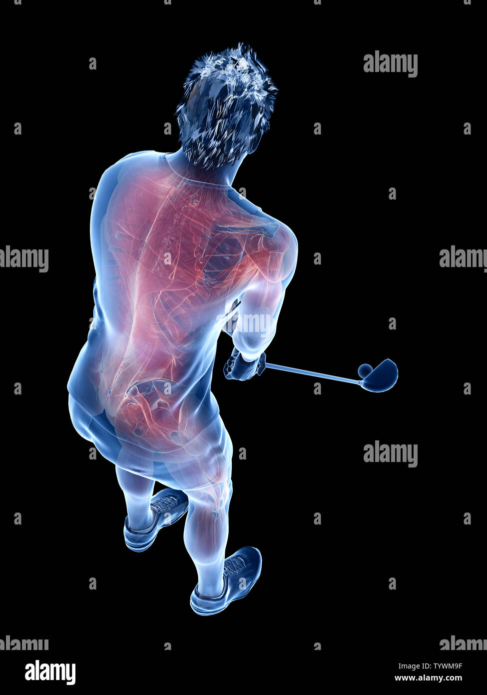 Man golf playing muscle hi-res stock photography and images - Alamy