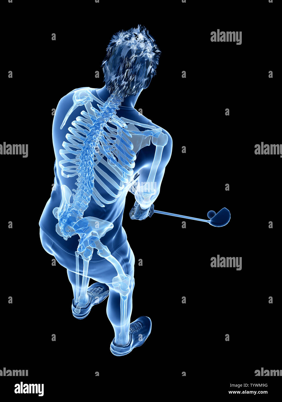 3d rendered medically accurate illustration of the skeleton of a golf ...