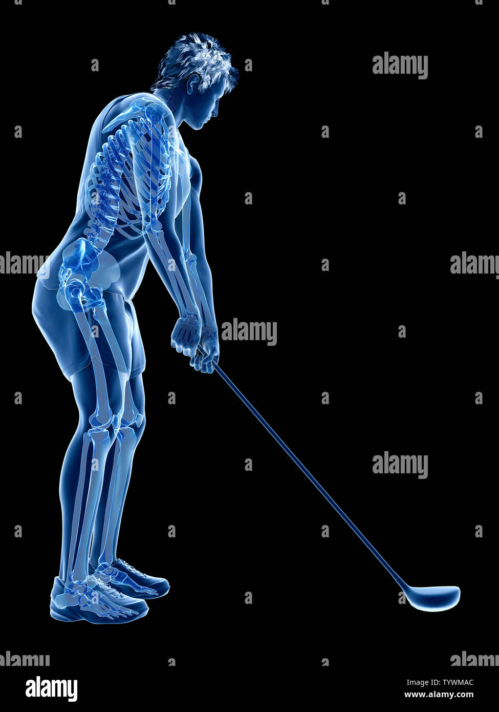 3d rendered medically accurate illustration of the skeleton of a golf ...