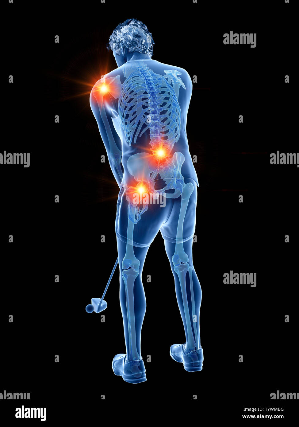 3d rendered medically accurate illustration of the skeleton of a golf ...