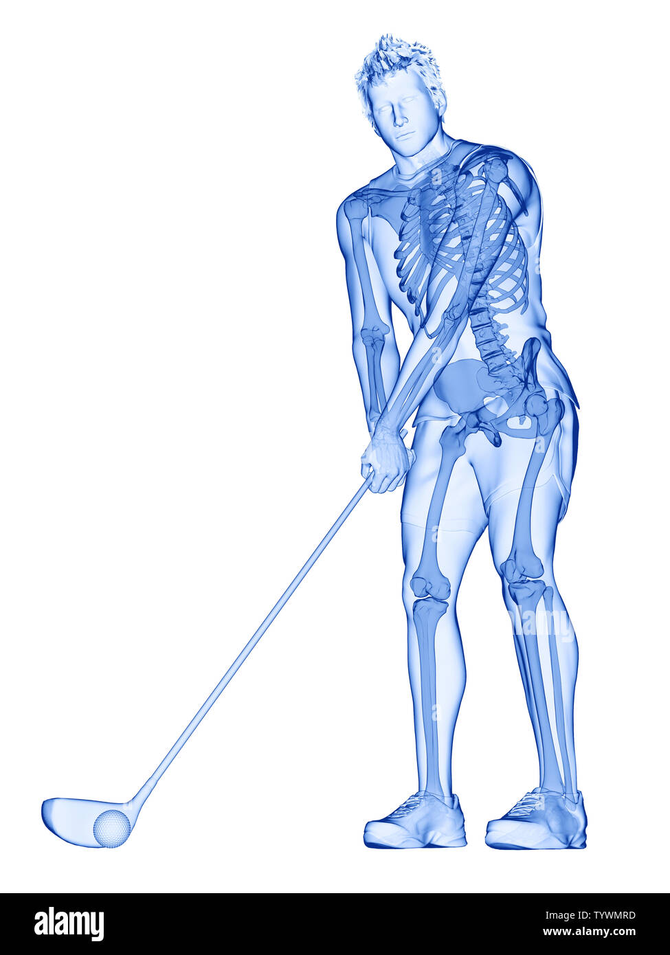 Human ray body skeleton golf hi-res stock photography and images - Alamy