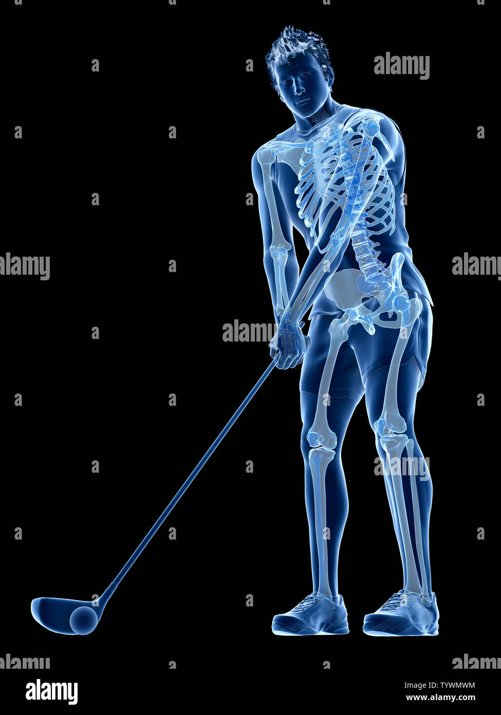 3d rendered medically accurate illustration of the skeleton of a golf ...