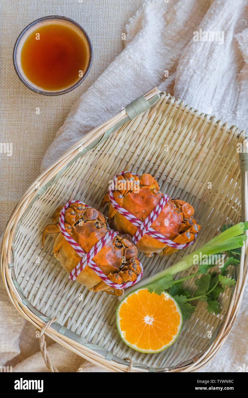 Hairy stone crab hi-res stock photography and images - Alamy